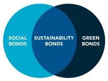 Making an Impact: ESG Investing and Municipal Bonds | MSRB